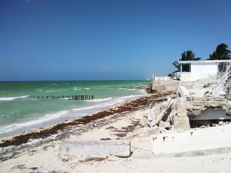 Sistemas socioecológicos en las dunas costeras de Yucatán: la sociedad ...