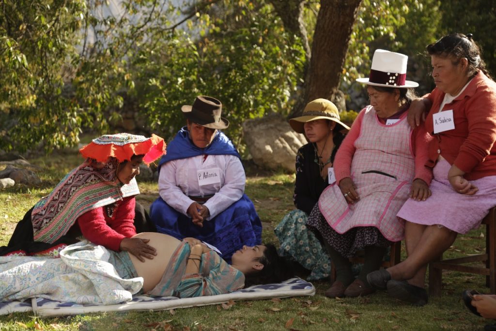 Una experiencia de mapeo de la partería tradicional indígena en las ...